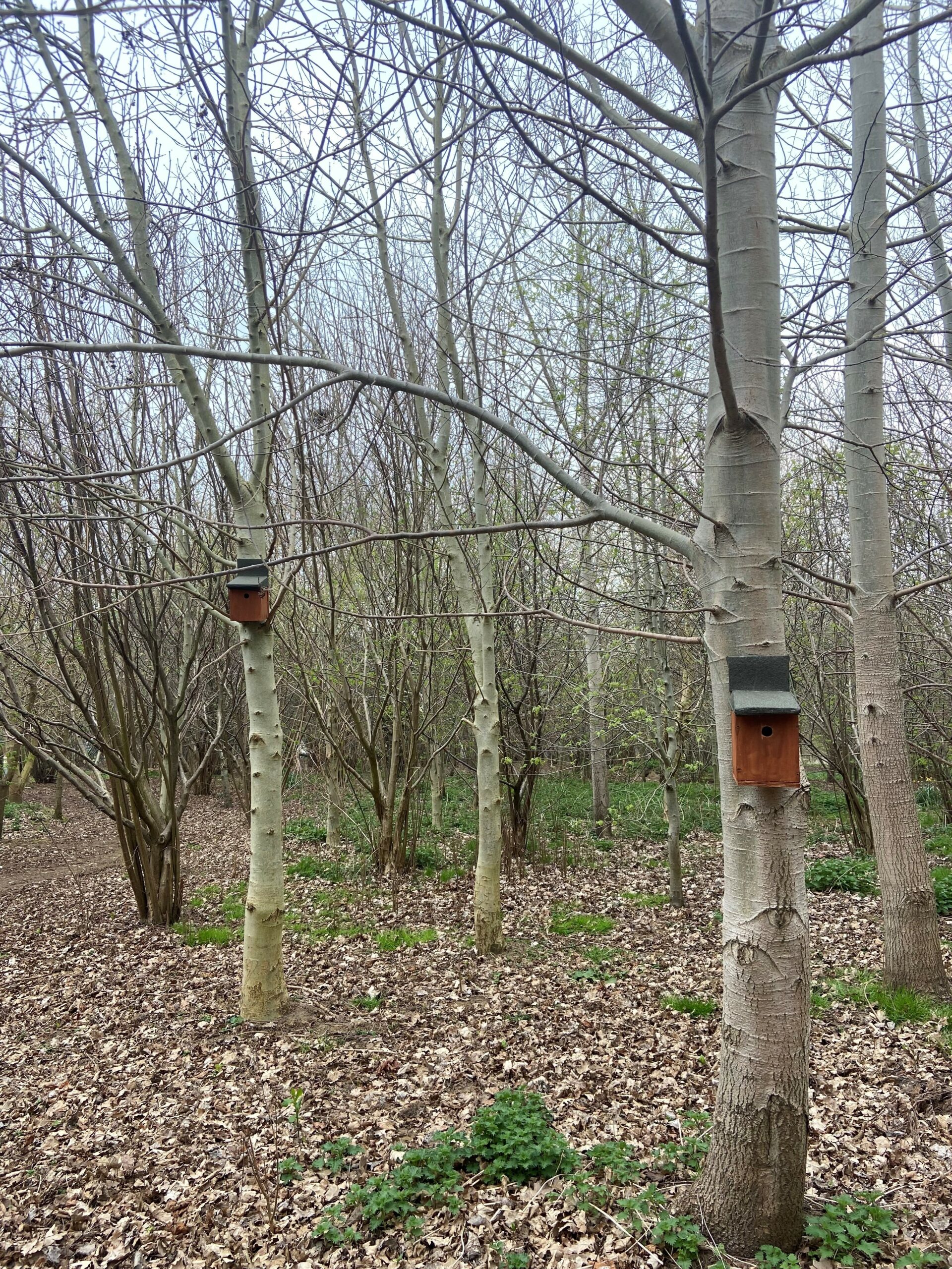 Environmental Park is set for a new season of Nesting | Gelder Group