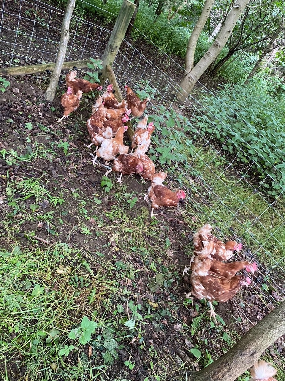 Environmental Park has 27 new residents | Gelder Group