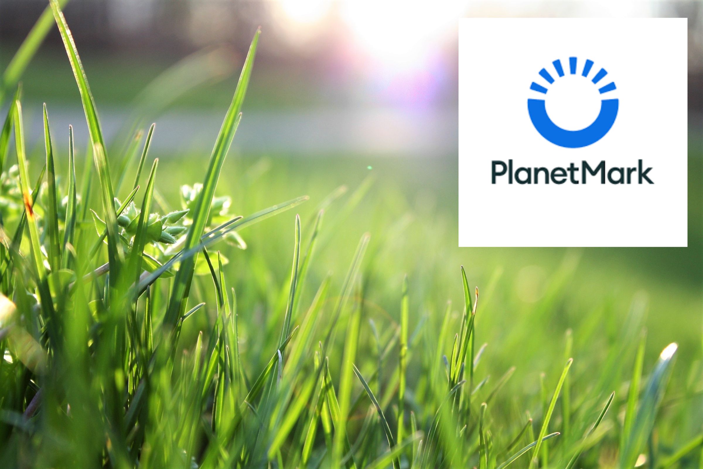 Gelder Group Succeeds in Reducing Carbon Year-on-Year | Gelder Group